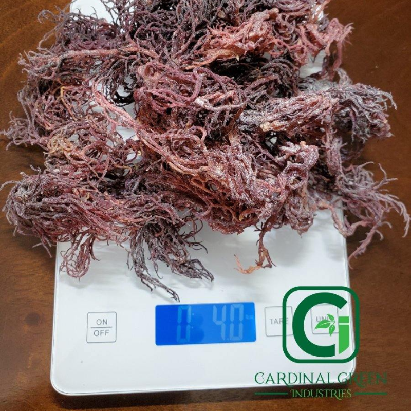 Incorporating_Dried_Natural_Sea_Moss_into_my_daily_routine_has_been_a ...